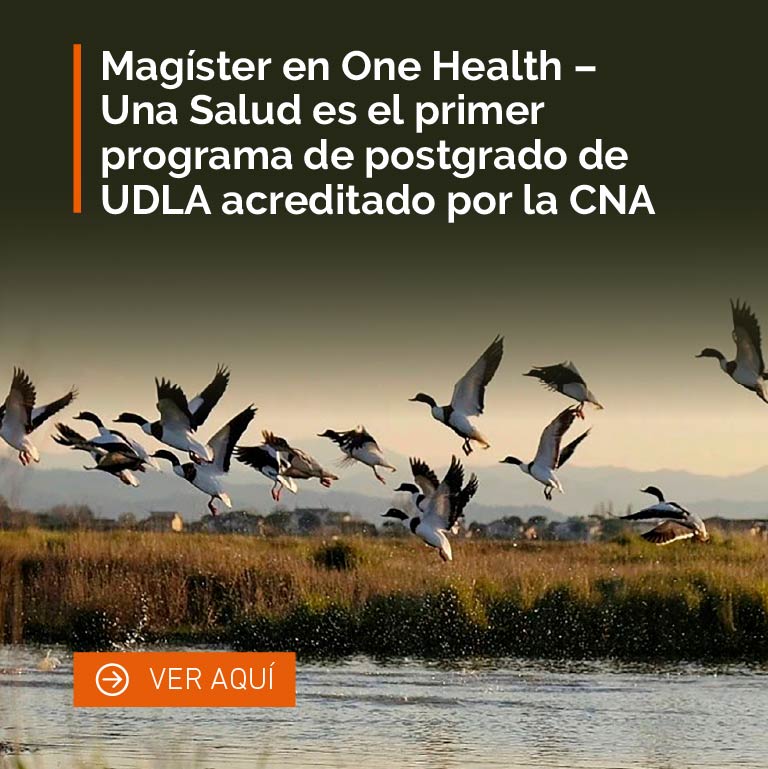 Universidad de Las Américas acreditada por 5 años | UDLA